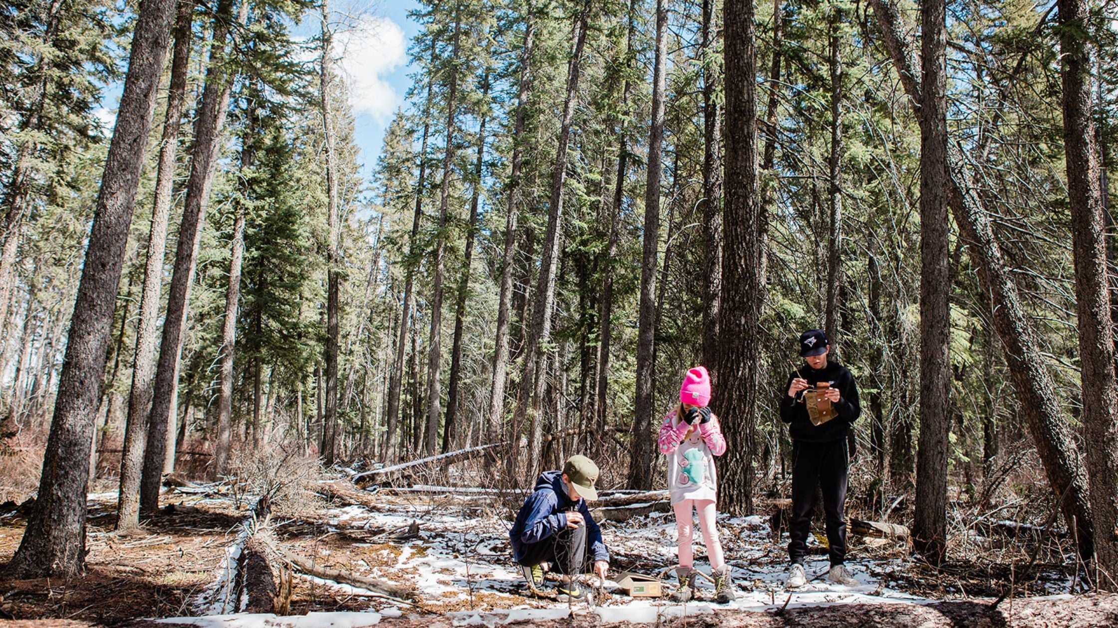 DIY Cardboard Sundial - Wild | Life Outdoor Adventures