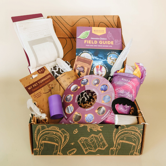 Wild Life Outdoor Adventure Kits, Gear and Toys For Kids – Wild | Life ...